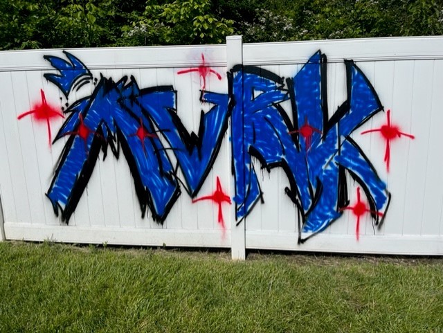 News | Media Release: Graffiti - Fleckenstein Park